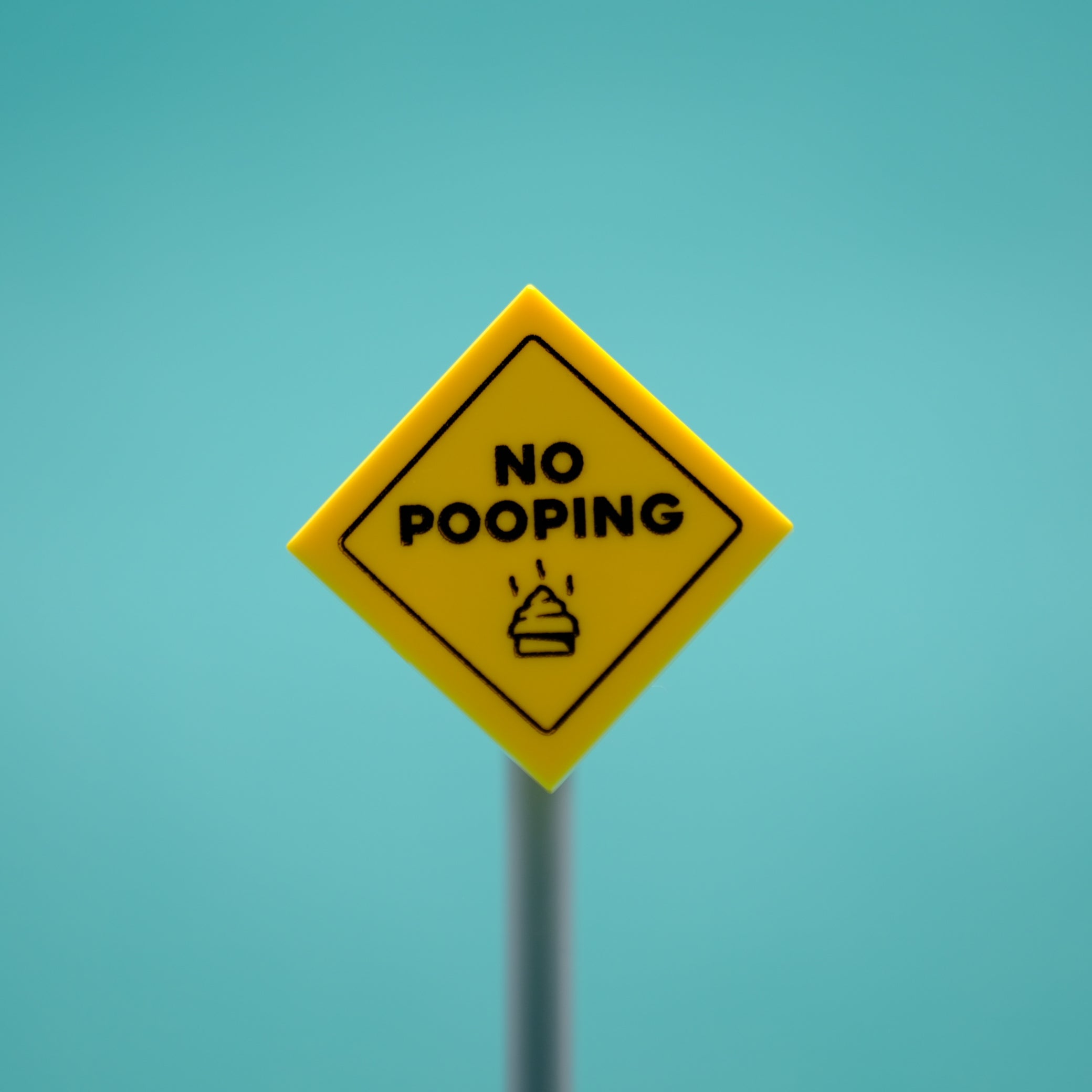 No Pooping Sign – Studstock